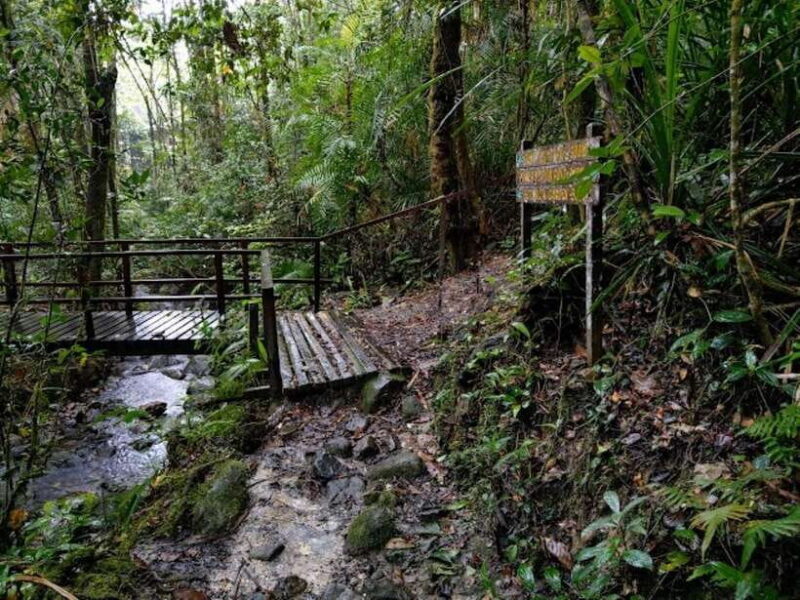 Kota Kinabalu: Private Kundasang and Poring Hot Spring Tour - Who Should Consider This Tour?