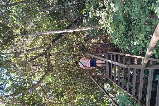 Kota Kinabalu to Kundasang Private Day Tour and Poring Hot SPA - An In-Depth Look at the Tour