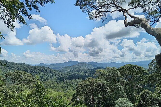 Kota Kinabalu to Kundasang Private Day Tour and Poring Hot SPA - Authentic Experiences and Practicalities