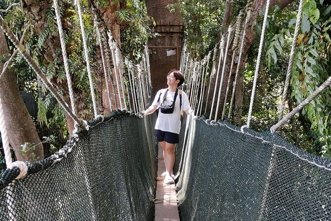 Kota Kinabalu to Kundasang Private Day Tour and Poring Hot SPA - The Sum Up