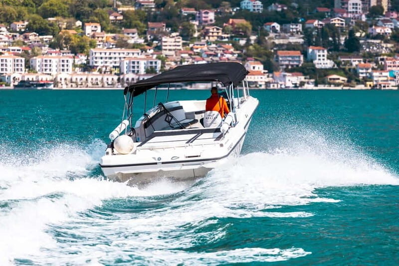 Kotor: Blue Cave Private Boat Tour - Who Would Enjoy This Tour?