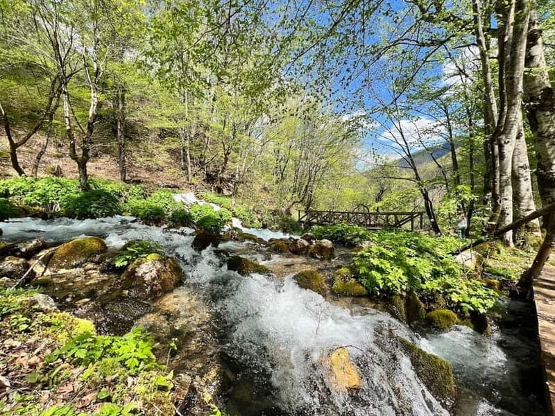 Kotor: Durmitor, Black Lake & Djurdjevica Tara Bridge Tour - FAQ