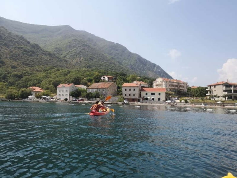 Kotor: Guided Kotor Bay Kayaking Tour - Analyzing the Value