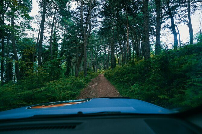 Kotor Jeep-Expedition : Fortress Trails & Local Food Picnic - The Sum Up
