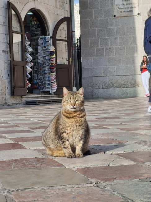 Kotor Old Town Small-Group Walking Tour - Final Thoughts: Why This Tour Is a Good Deal