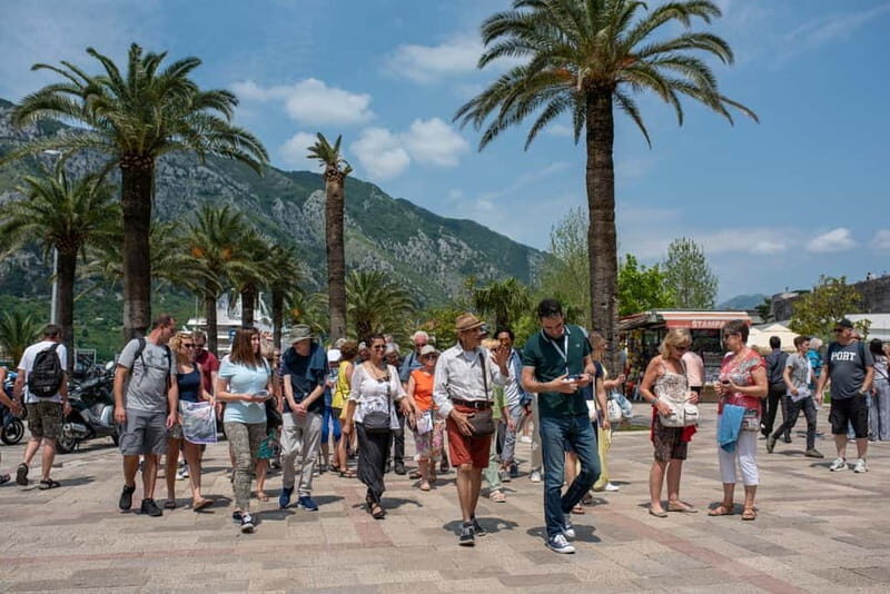 Kotor & Perast: Guided Day Trip From Dubrovnik - Transportation and Practical Details