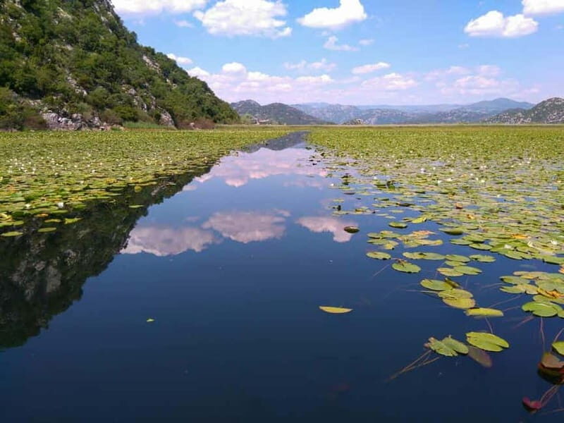 Kotor: Skadar Lake National Park with Wine Tasting - Key Points