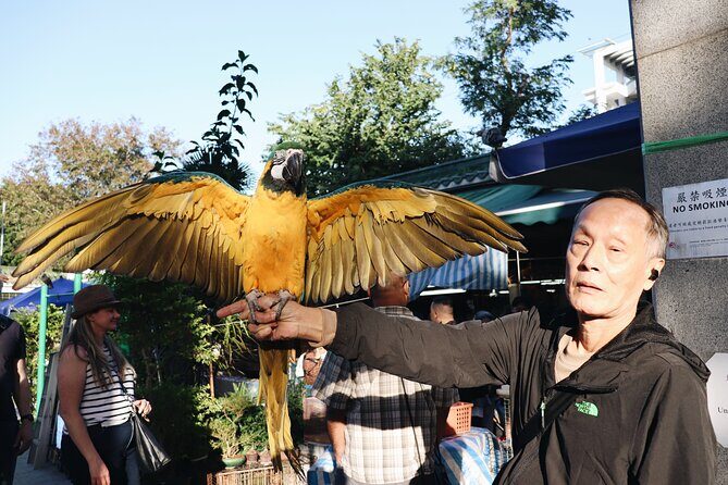 Kowloon Walking Tour on the Dark Side of Hong Kong - Cedar Street: Inside Subdivided Units