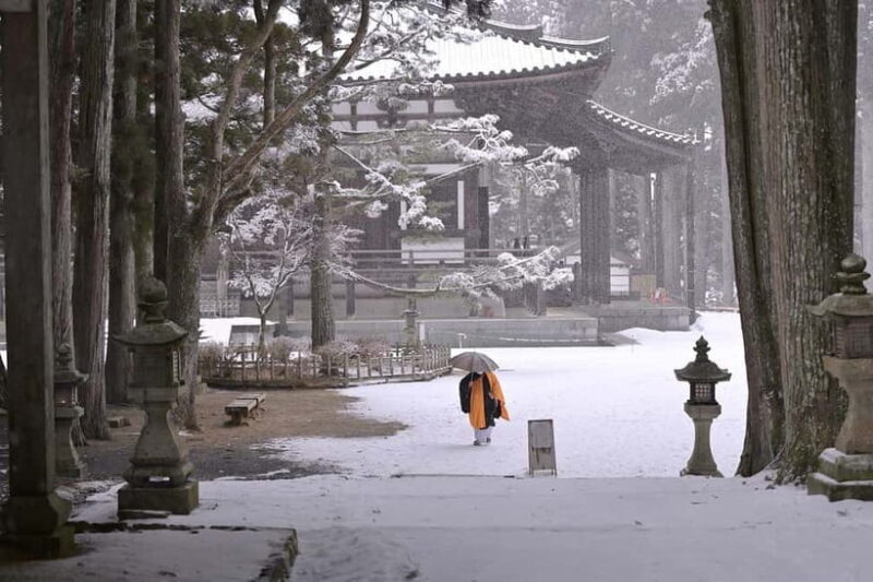 Koyasan: A Mysterious Meditation Journey - Exploring Koyasan: A Sacred Mountain Retreat