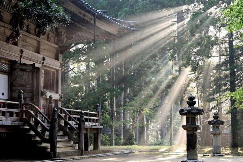 Koyasan: A Mysterious Meditation Journey - The Value of This Tour