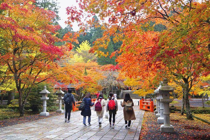 Koyasan Full-Day Private Tour - What Are Travelers Saying?