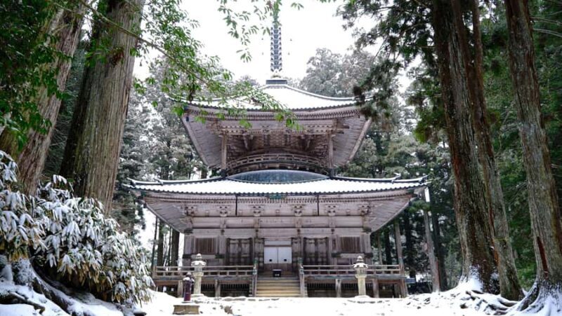 Koyasan Hidden Gems Day Trip From Osaka - Authentic and Quiet: Who This Tour Suits Best