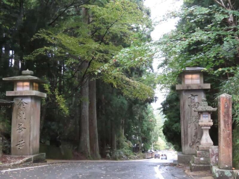 Koyasan: Other Stories Walking Tours in Koya Town - Key Points