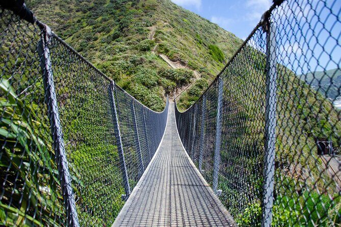 Kpiti Coast: Escarpment Track Guided Hiking Tour, Coffee + Lunch - An In-Depth Look at the Escarpment Track Guided Hike