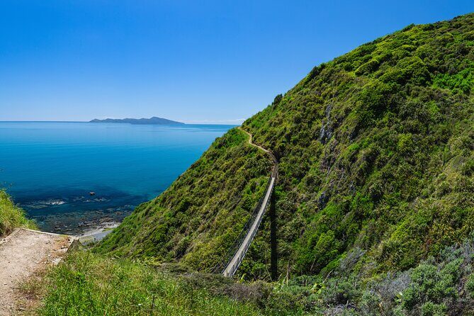 Kpiti Coast: Escarpment Track Guided Hiking Tour, Coffee + Lunch - The Sum Up: Who Will Get the Most Out of This Experience?