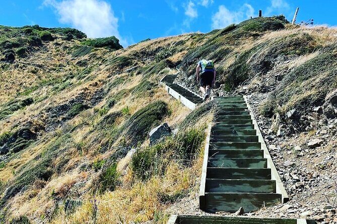 Kpiti Coast: Escarpment Track Guided Hiking Tour, Coffee + Lunch - FAQ
