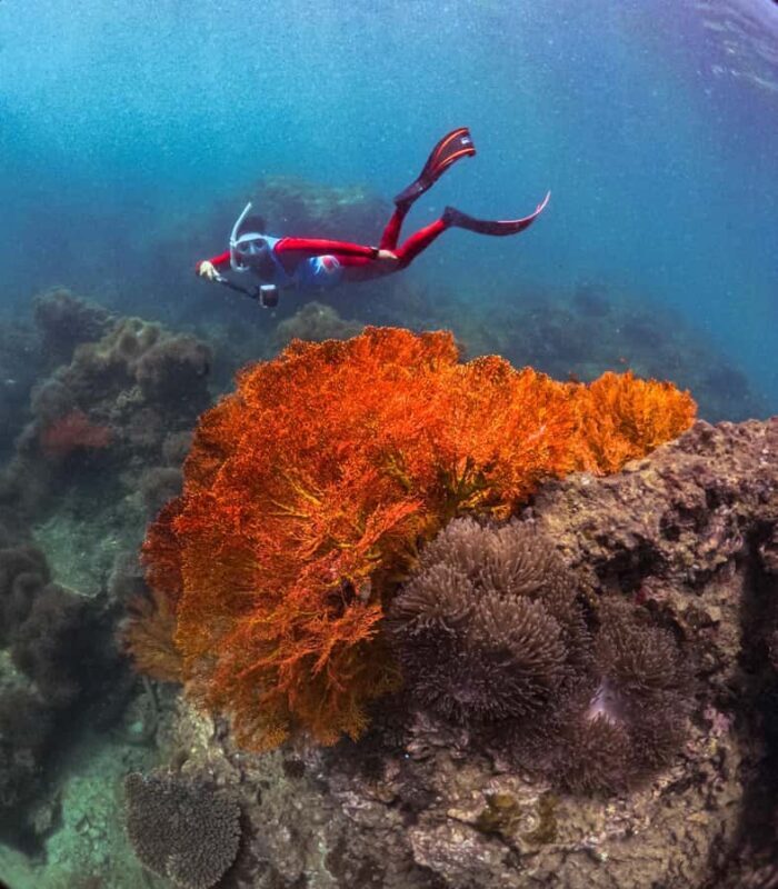 Krabi: 4-Island Freediving Day Tour with Lunch & Photos - Key Points