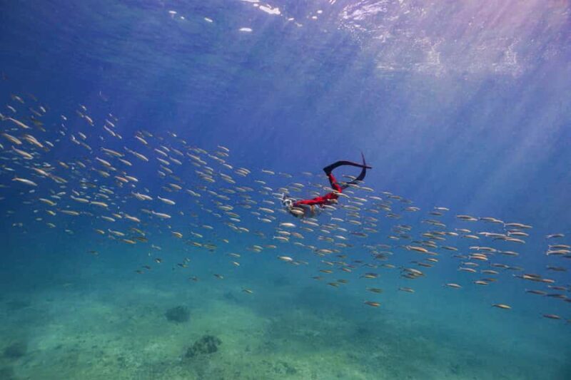 Krabi: 4-Island Freediving Day Tour with Lunch & Photos - An Immersive Day in Krabi’s Waters