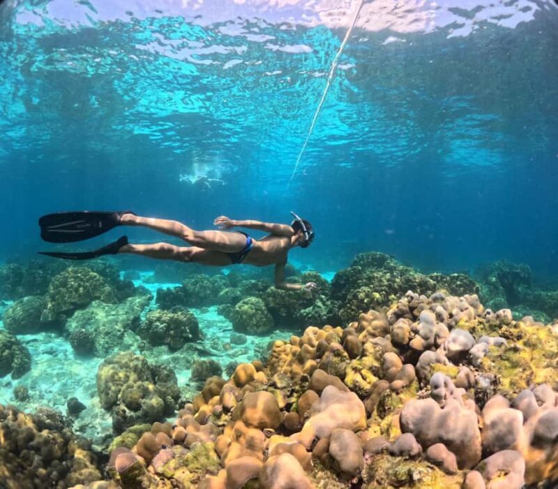 Krabi: 4-Island Freediving Day Tour with Lunch & Photos - Photography and Underwater Memories