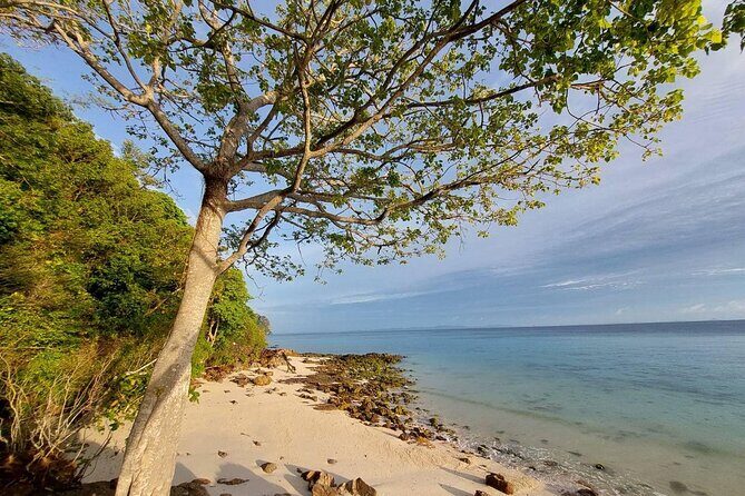 Krabi 7 Islands Sunset Tour with Bioluminescent Plankton + BBQ - Final Thoughts: Who Will Love This Tour?