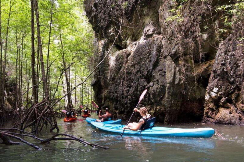 Krabi: A Kayaking Odyssey through Din Daeng Mangrove Maze - Key Points