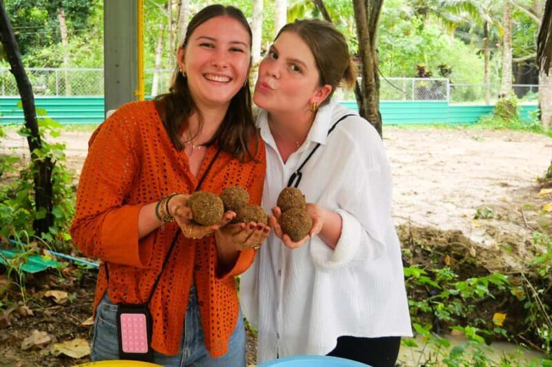 Krabi: Ao Nang Elephant Sanctuary Tour - Key Points