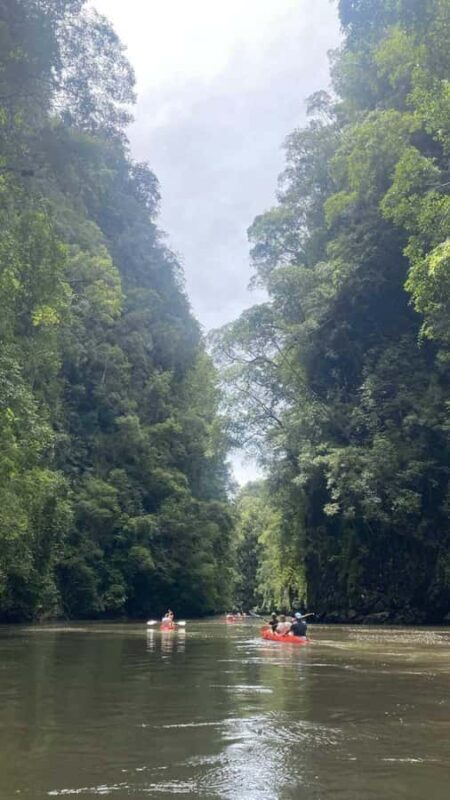 Krabi: Ao Thalane Mangrove Kayaking Tour with Pickup - Authentic Encounters and Realistic Expectations