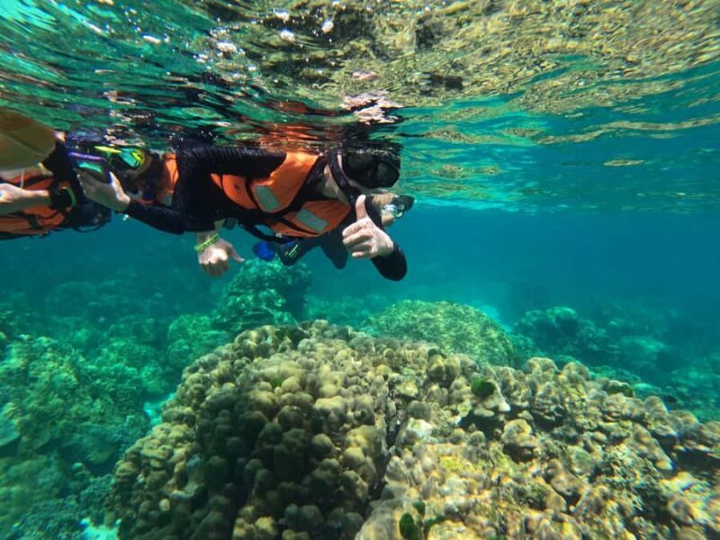 Krabi Aonang: Koh Rok & Koh Haa Snorkelling Day Trip + Lunch - What Makes This Tour Stand Out