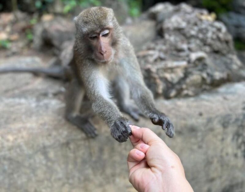 Krabi: ATV Adventure - Who Should Consider This Tour?