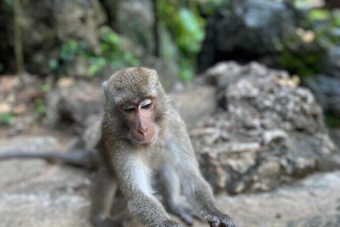 Krabi ATV Adventure - FAQs