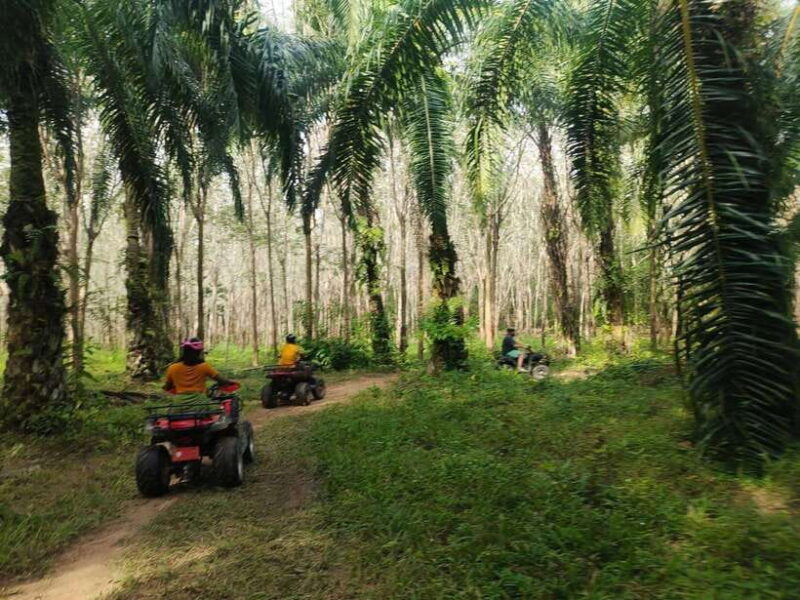 Krabi : ATV Jungle adventure with round trip transfer - An Overview of the Krabi ATV Jungle Adventure