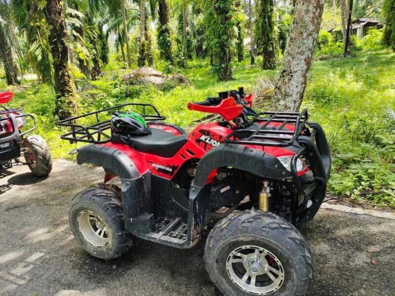 Krabi : ATV Jungle adventure with round trip transfer - The Sum Up