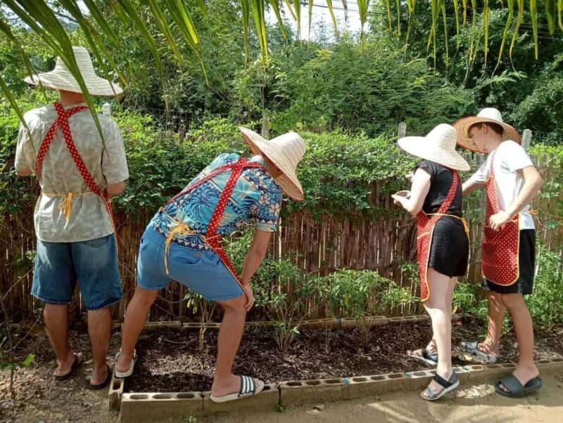 Krabi: Authentic Thai Cooking Class & Local Market Tour - Frequently Asked Questions