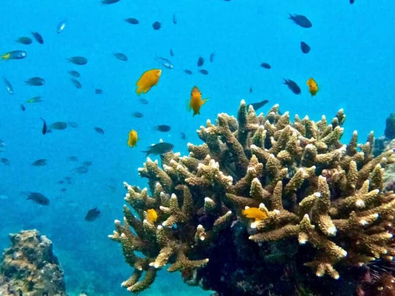 Krabi: Beat the Rush Early Bird 7 Islands & Railay Longtail - The Stops: A Closer Look