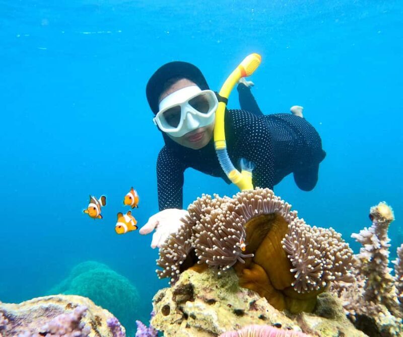 Krabi: Bioluminescent Plankton, 7 Islands sunset Tour & BBQ - FAQ