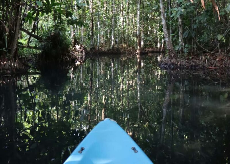 Krabi: Bor Thor Kayaking Adventure with Cave Exploration - The Heart of the Experience: A Deep Dive
