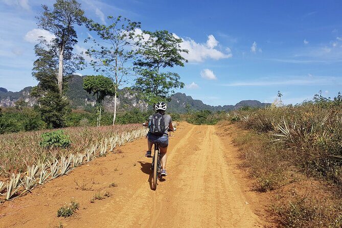 Krabi Countryside Eco Cycling Tour - Multiple Trails - A Closer Look at the Krabi Countryside Eco Cycling Tour