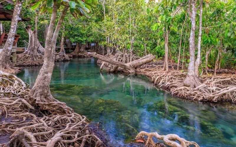 Krabi: Customizable Private Day Tour with Driver - Why Choose the Krabi Private Customizable Tour?