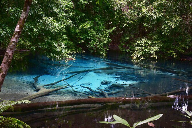 Krabi Day Tour (Private Group Tour) - The Itinerary Breakdown: What to Expect