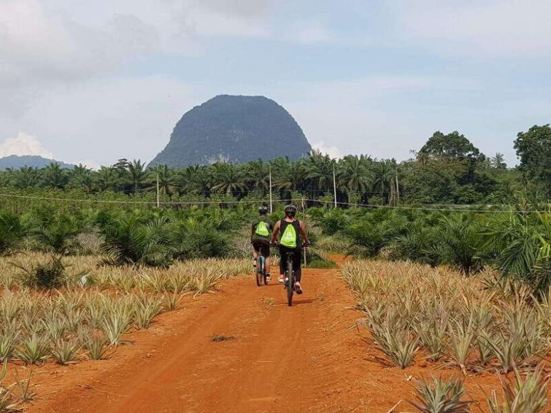 Krabi: Eco-Cycling Tour with Nature, Culture, and Fun - A Balanced View: Pros and Cons
