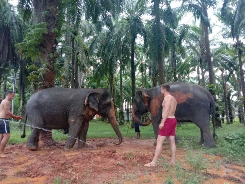 Krabi Elephant bathing and Atv adventure (30min/30min) - Key Points