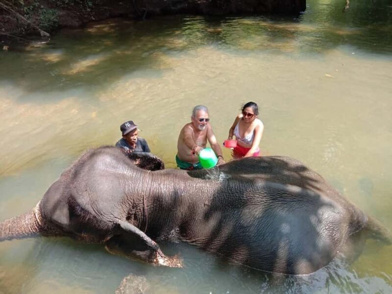 Krabi Elephant bathing and Atv adventure (30min/30min) - What You Can Expect on This Adventure