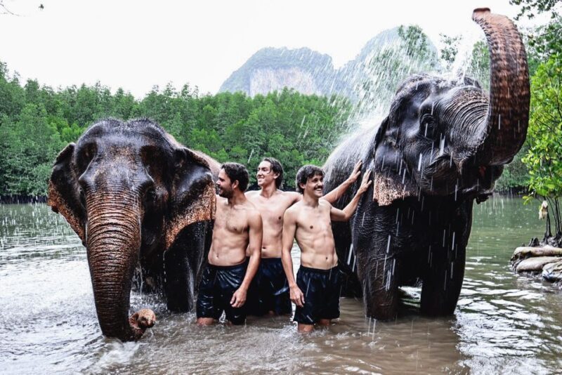 Krabi: Elephant Bathing Session at Krabi Elephant Shelter - Group Size & Duration