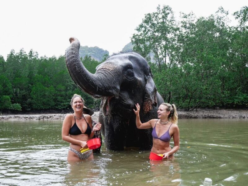 Krabi: Elephant Bathing Session at Krabi Elephant Shelter - Who Will Love This Tour?