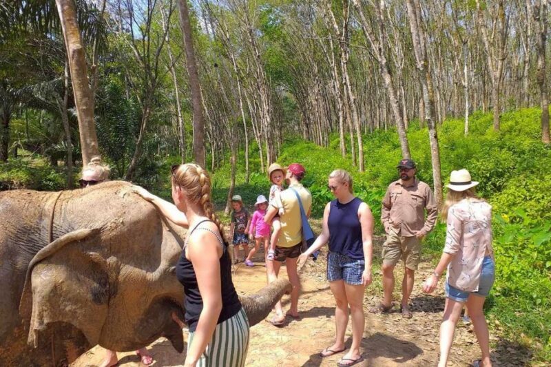 Krabi: Elephant Care House Guided Tour with Hotel Transfers - Why This Tour Works
