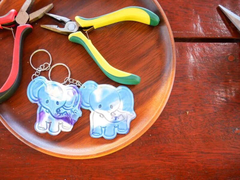 Krabi: Elephant Cook & Feeding Visit with Workshop - FAQ