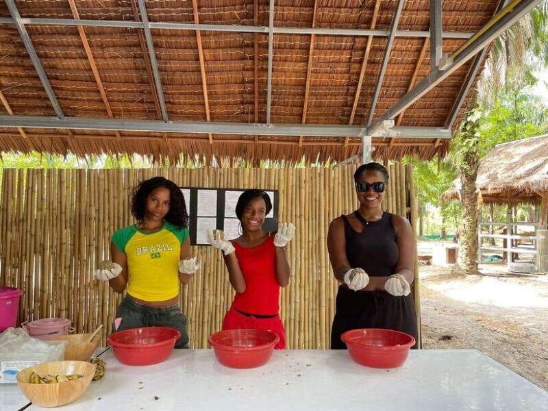 Krabi: Elephant Feeding Program - Key Points