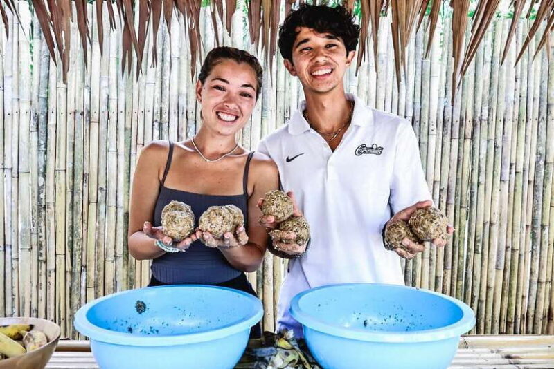 Krabi: Elephant Feeding Program - FAQ