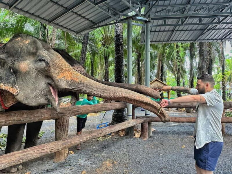 Krabi: Elephant Feeding Program with Food Preparation - FAQ