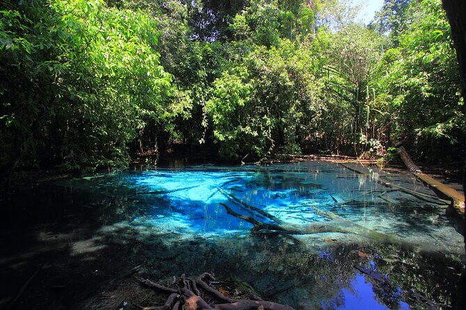 Krabi Elephant Sanctuary and Emerald Pool Adventure - Frequently Asked Questions